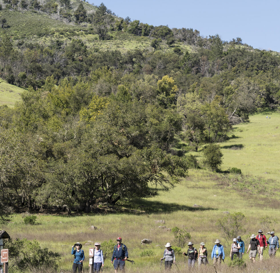 Home | Sugarloaf Ridge State Park